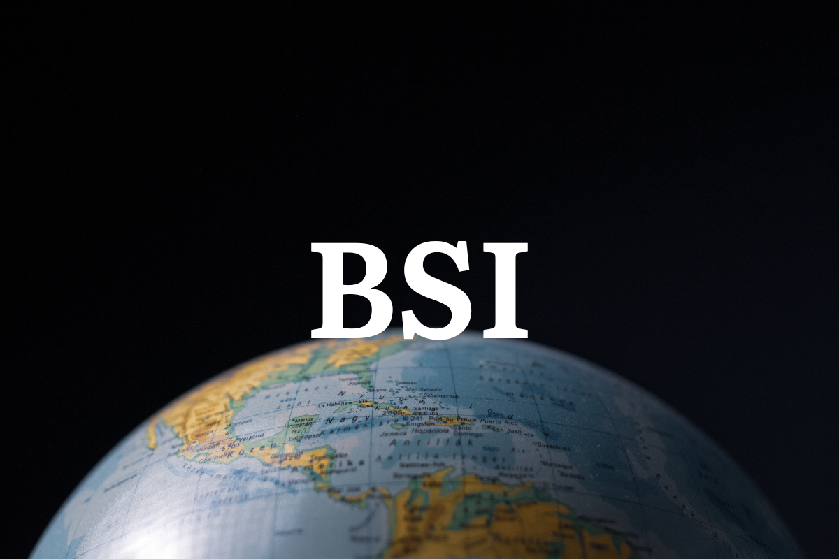 Bachelor of Science in Intelligence (BSI)